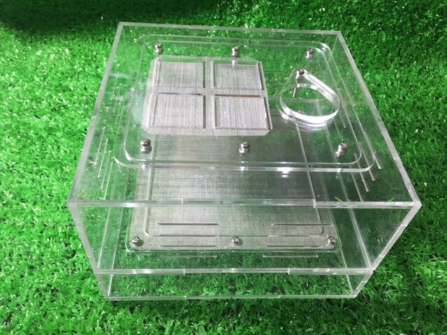 Ant Nest Transparent Ant Workshop For Children Sie... – Grandado