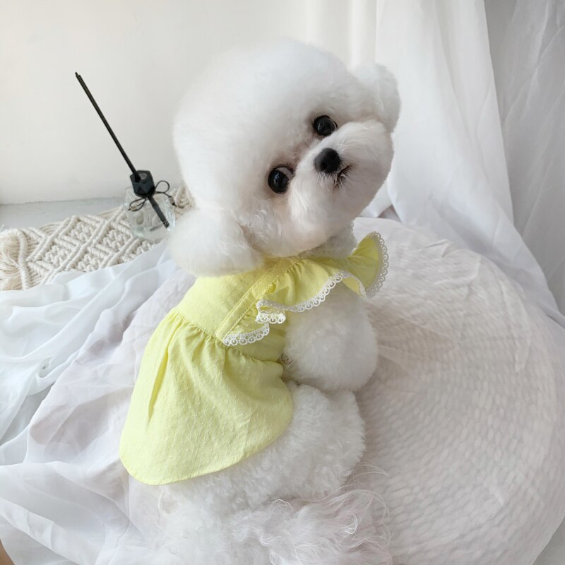 Small Dog Dress Cat Chihuahua Puppy Skirt Teacup P... – Grandado