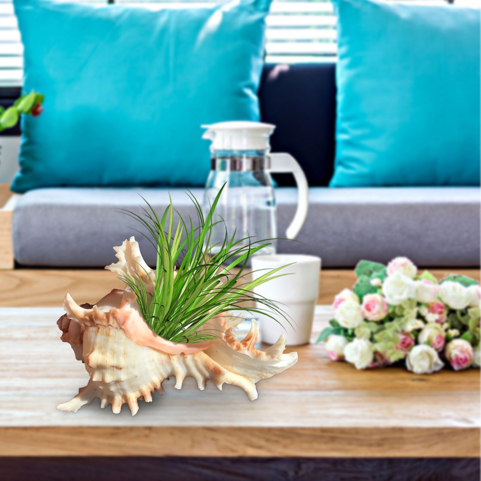 Sea Shell Plant Pots Conch Air Plant Holder Decora... – Grandado