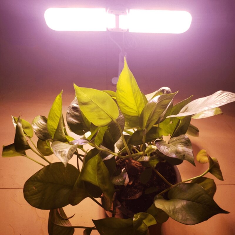 Clip Folding LED Plant Grow Light 24W AC85-265V Fu... – Vicedeal