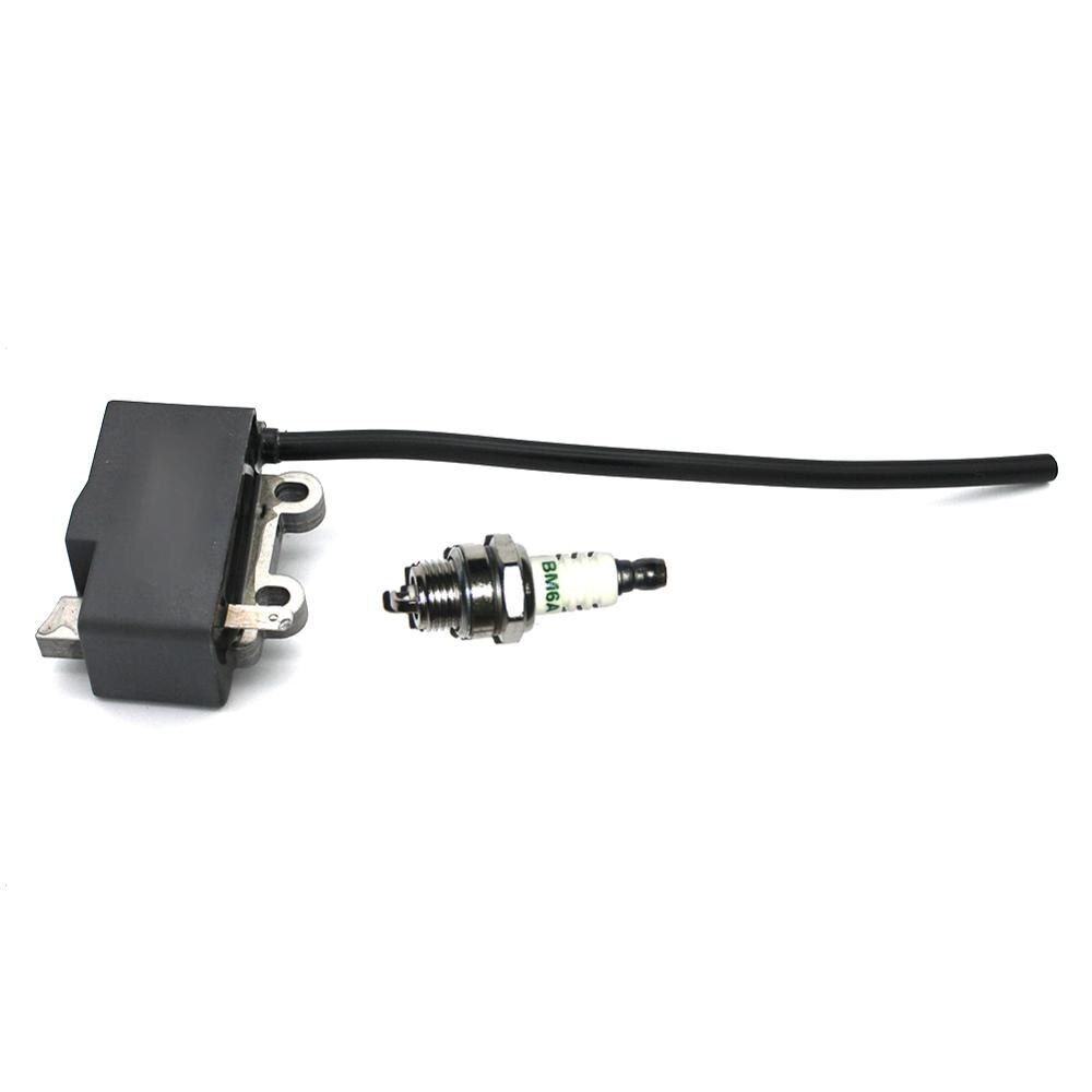 Coil Ignition with BM6A for Echo ES-250 PB-250LN P... – Vicedeal