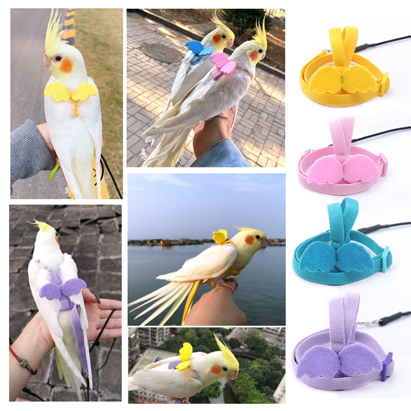 Adjustable Parrot Bird Harness Leash Set Anti-bite... – Vicedeal