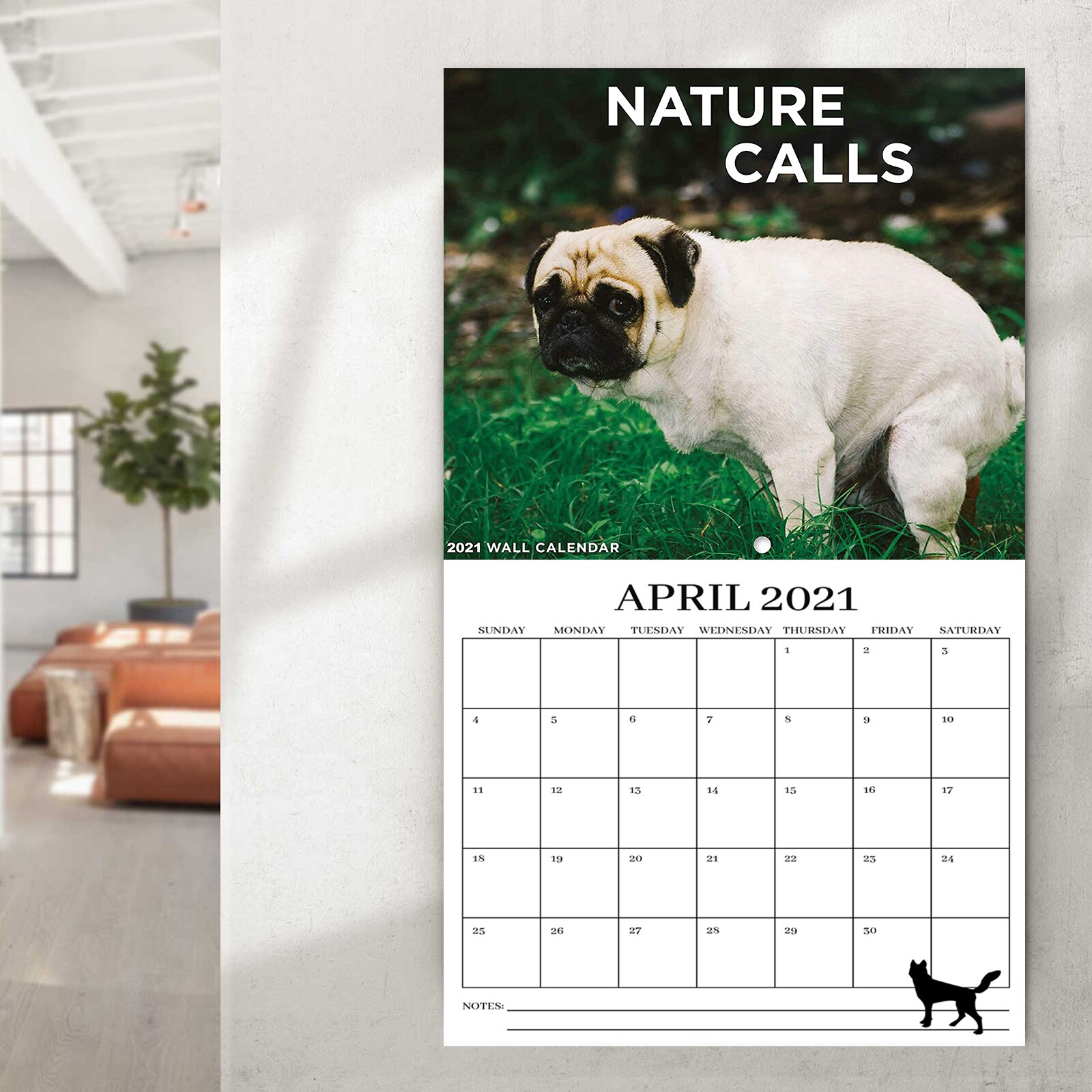 Pooping Dogs/Cat Calendar Hilarious Guide with Pic... – Grandado