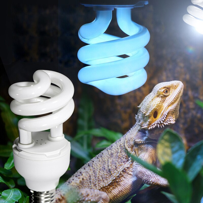 AC 220-240V Bearded Dragon Accessories Outdoor Lig... – Grandado
