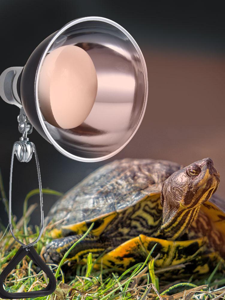 Lamp Set Lighting 300W E27 100-240V UVB Reptile He... – Vicedeal