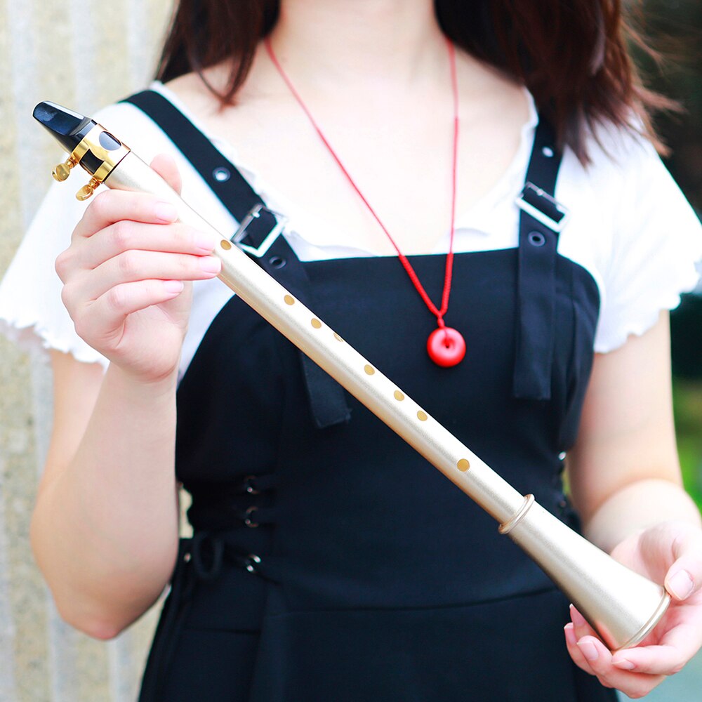 IRIN Eb Key Mini Clarinet-Saxophone Woodwind Instr... – Grandado