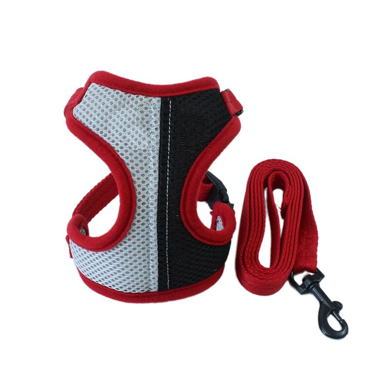 Dual Color Splice Dog Harness And Puppy Leash Set ... – Grandado
