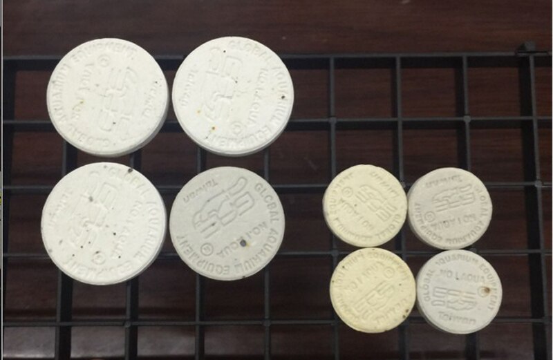 10pcs Reef Coral Plug for Live Coral Frag Propagat... – Grandado