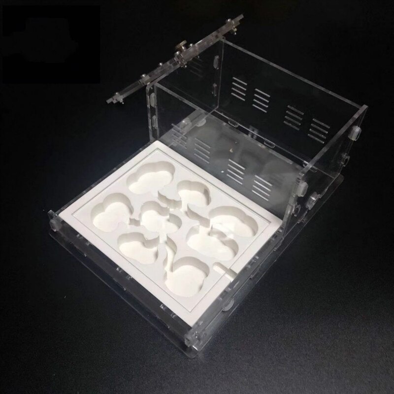 Gypsum Nest Ant Villa Ant Nest Flat Nest Ant Works... – Grandado Gypsum Nest Ant Villa Ant Nest Flat Nest Ant Works... – Grandado