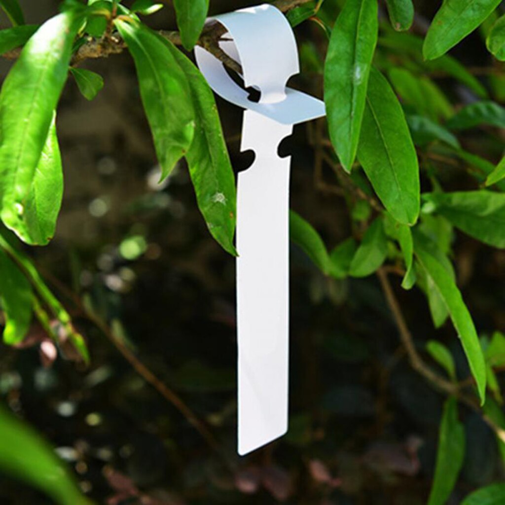 100 Plant Labels Tree ing ID Blank Tags Markers Pl... – Vicedeal