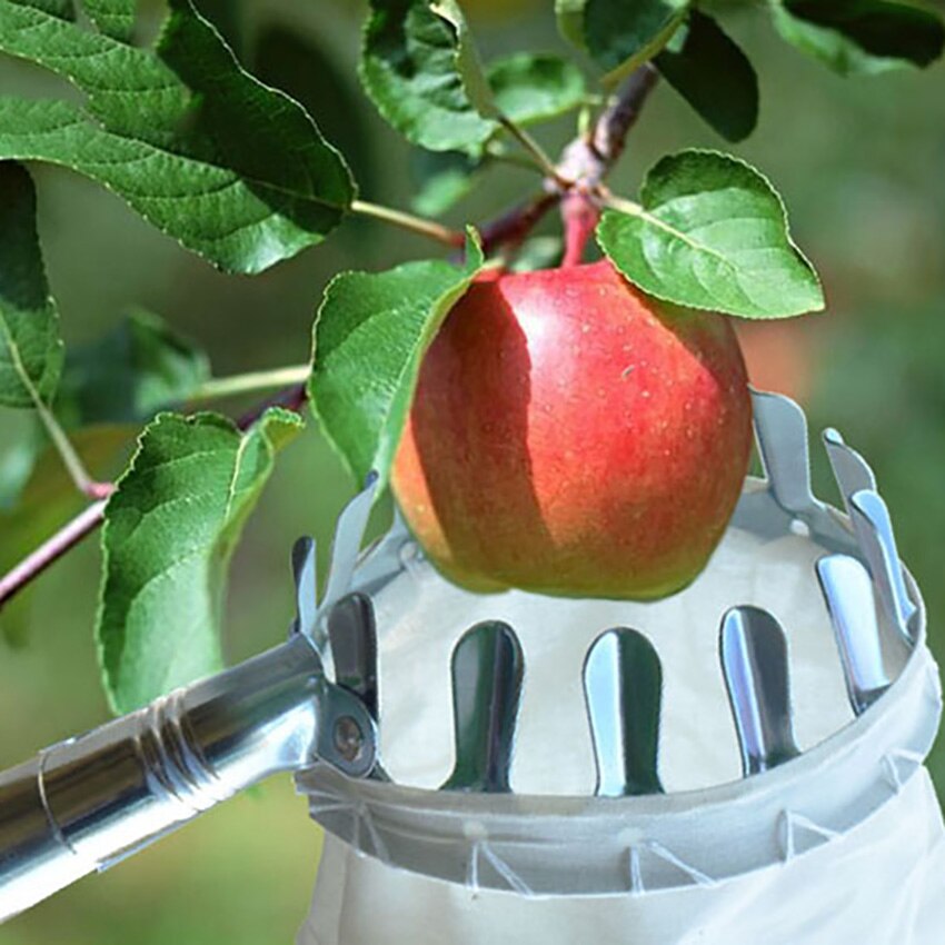 Garden Pruning Fruit Picker Basket Bag Gardening A... – Grandado