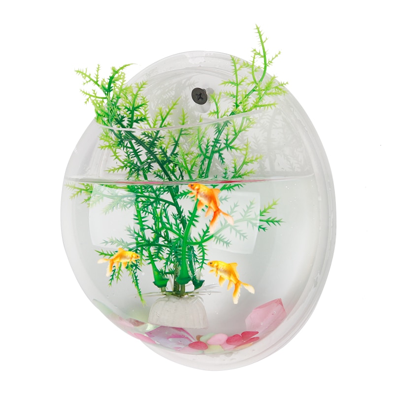 Transparent Acrylic Hanging Wall Mount Fish Tank B... – Grandado
