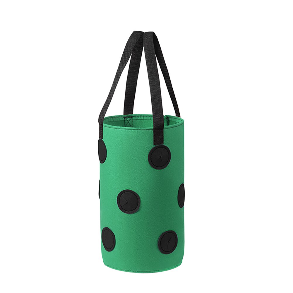 Multi-mouth Strawberry Bag Hanging Strawberry Plan... – Grandado