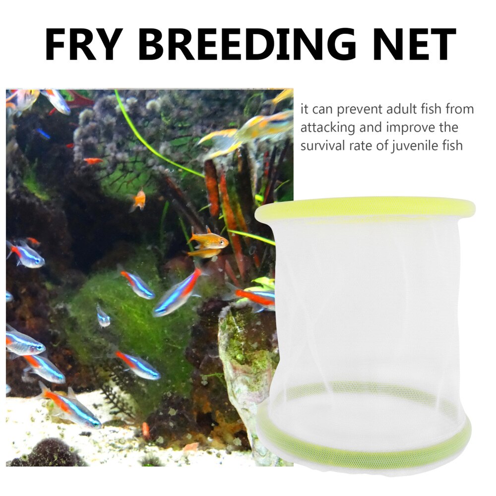 1Pc Fish Fry Spawning Box Fish Breeding Net Fish T... – Grandado