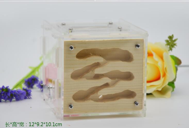 Plaster Ant Nest Acrylic Ant Farm Ants Queen House... – Grandado
