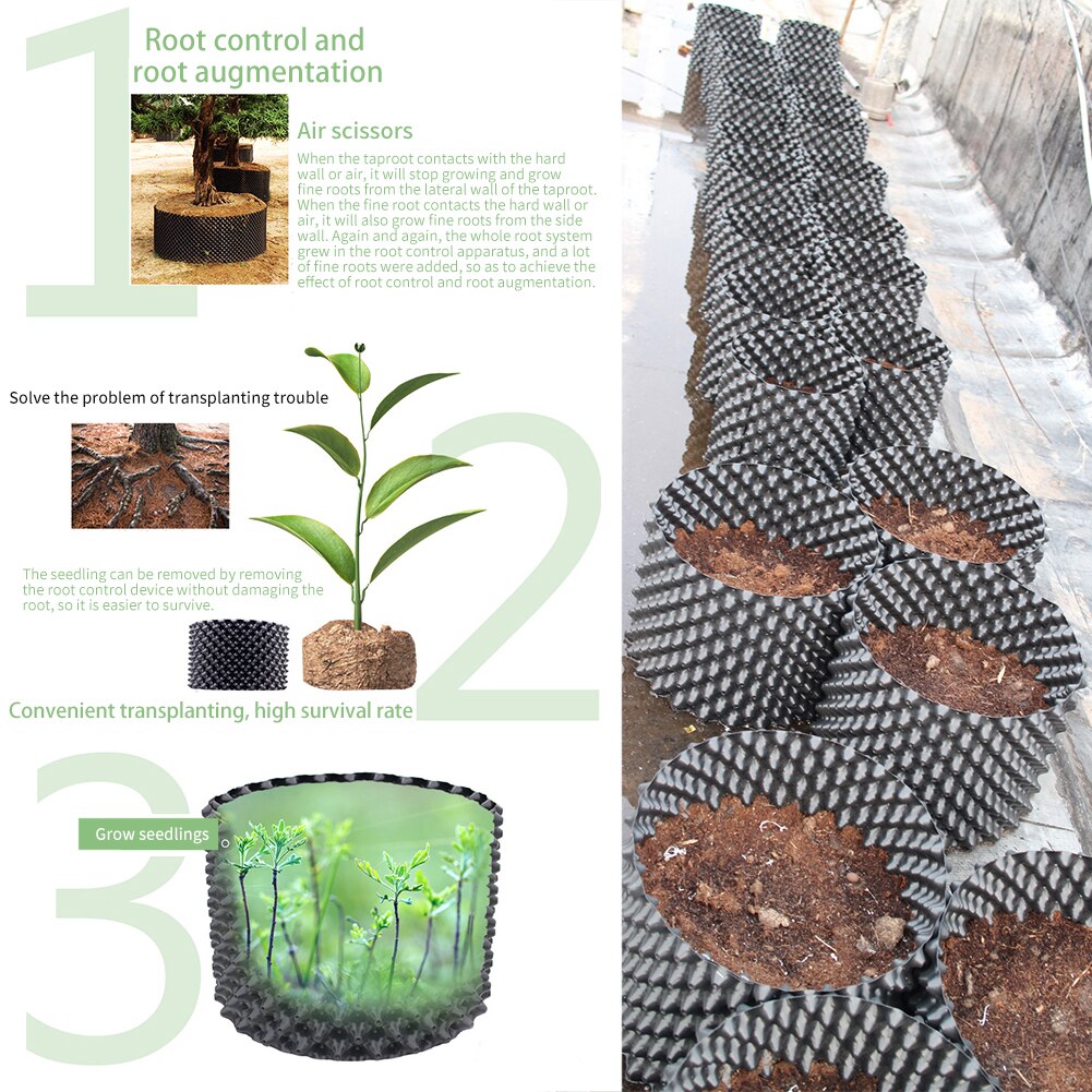 Entrenador de raíz de planta de PVC, herramienta d... – Grandado