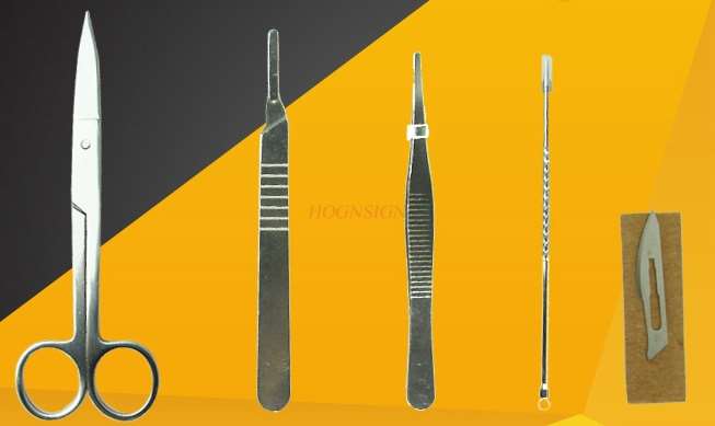 Scalpel biodissection tool insect specimen making ... – Grandado