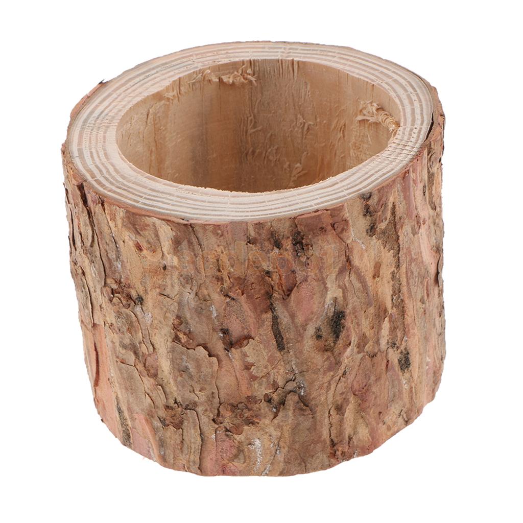 WOODEN FLOWER VASE Rustic Tree Stump Succulent Pla... – Vicedeal