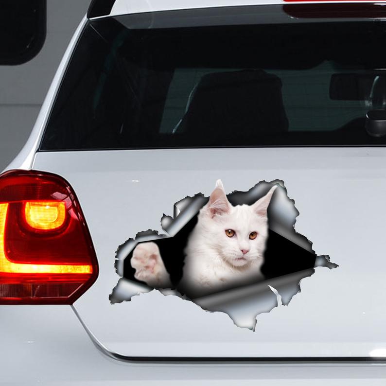 Wit Maine Coon Auto Decal, Witte Kat Decal, Wit Ma... – Grandado