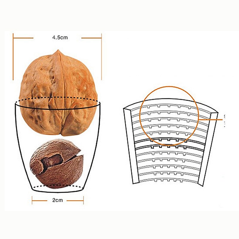 Tragtformet møtrik i rustfrit stål hurtig tragtfor... – Vicedeal