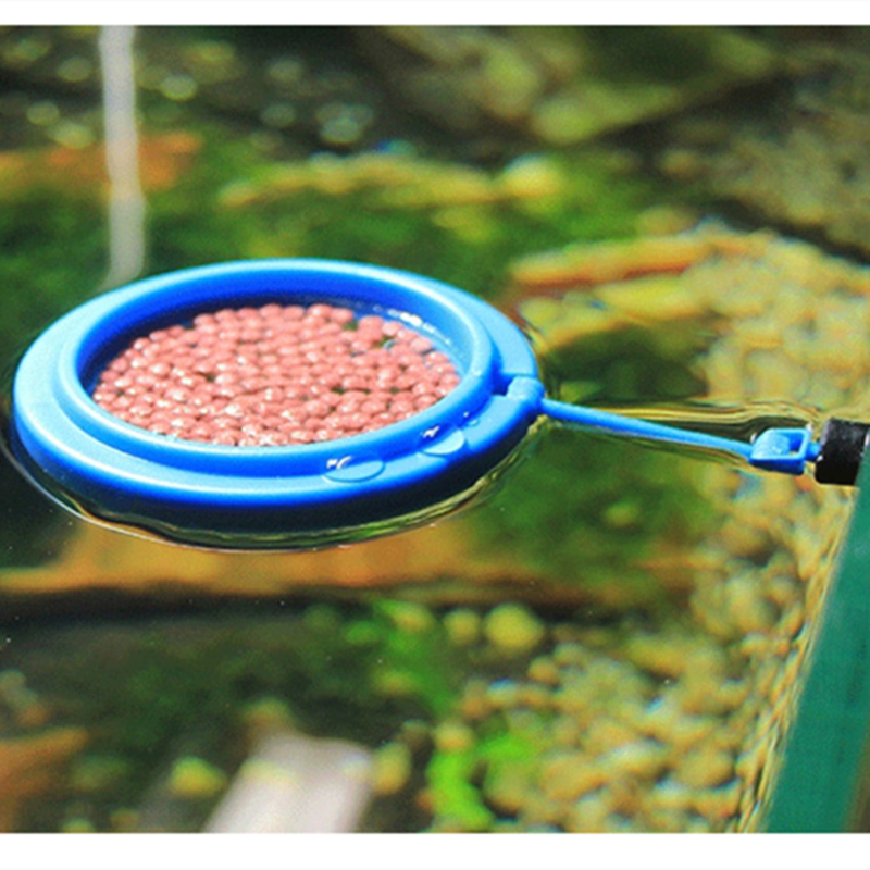 Fish Feeding Aquarium Fish Tank Ring Feeder Statio... – Vicedeal