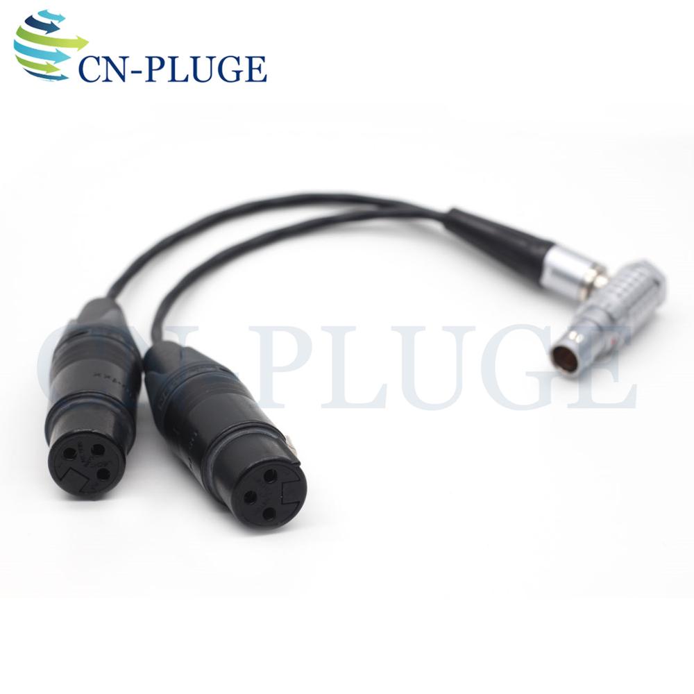 10 pin Stecker zu Dual 3 Pin XLR Breakout Audio Ei... – Vicedeal