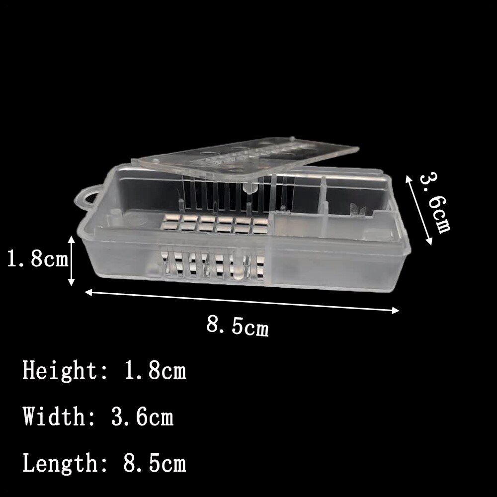 2PCS Large Size Bee Virgin Queen Bee Mail Post Tra... – Vicedeal