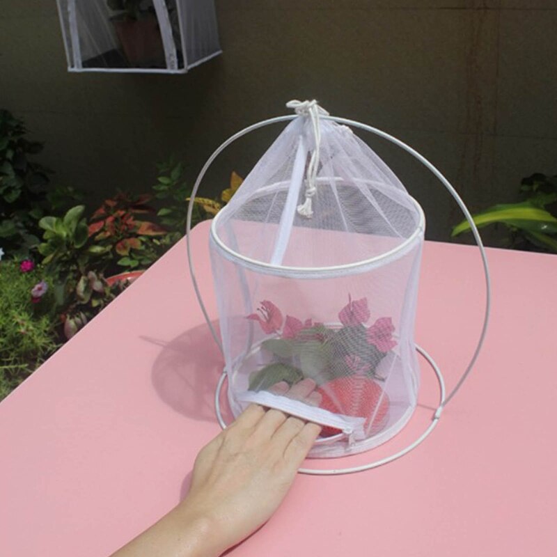 Polyester Insects Cage 9.8x11.8in Butterfly Bug Ha... – Grandado