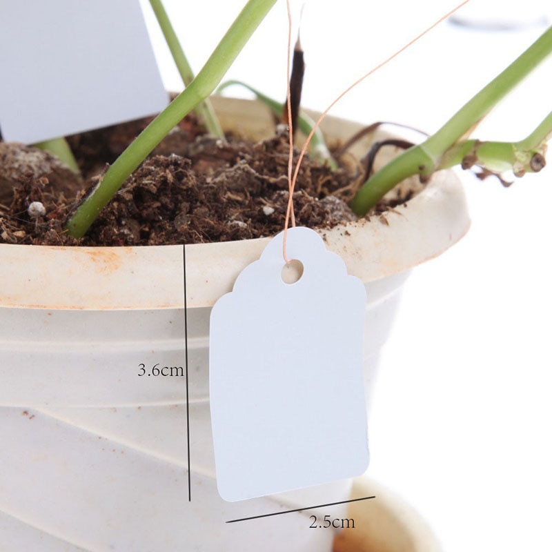 100 pcs White Plastic Tag Seedling Plant Growth Re... – Grandado