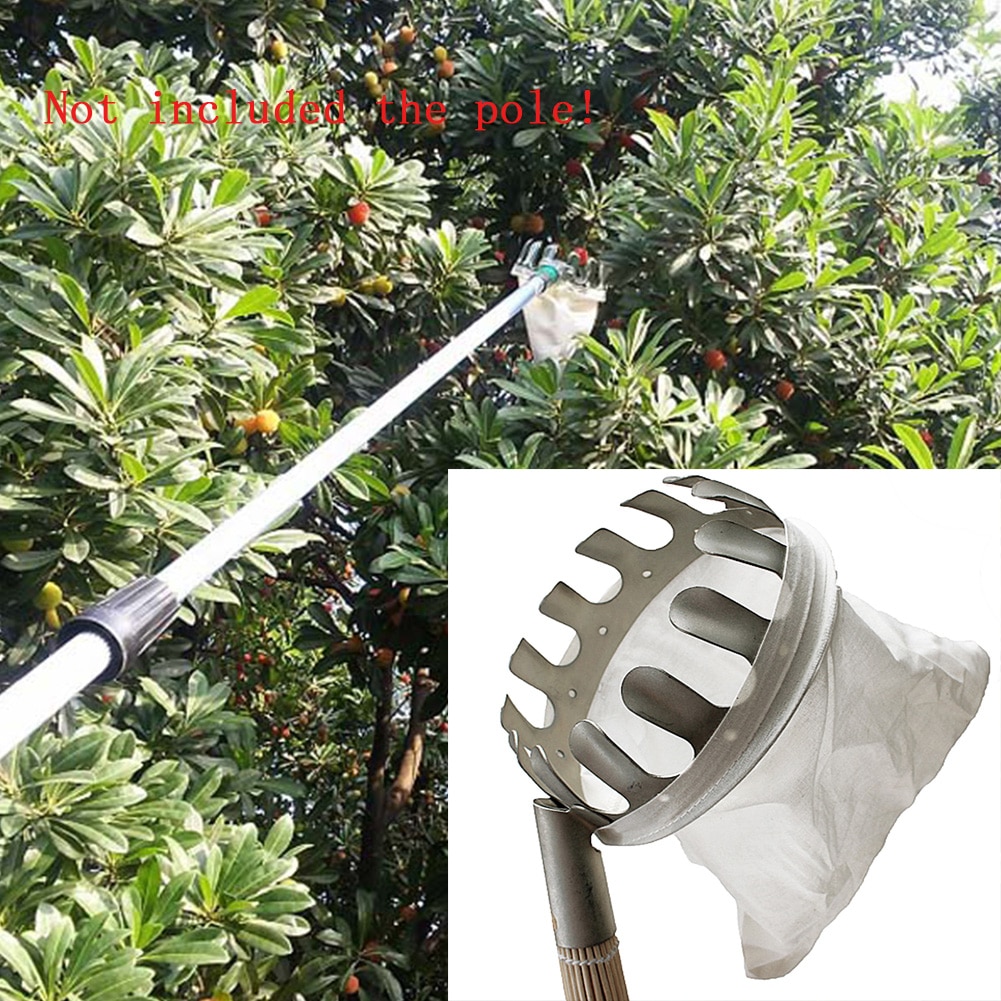 Garden Pruning Fruit Picker Gardening s Pear Peach... – Grandado