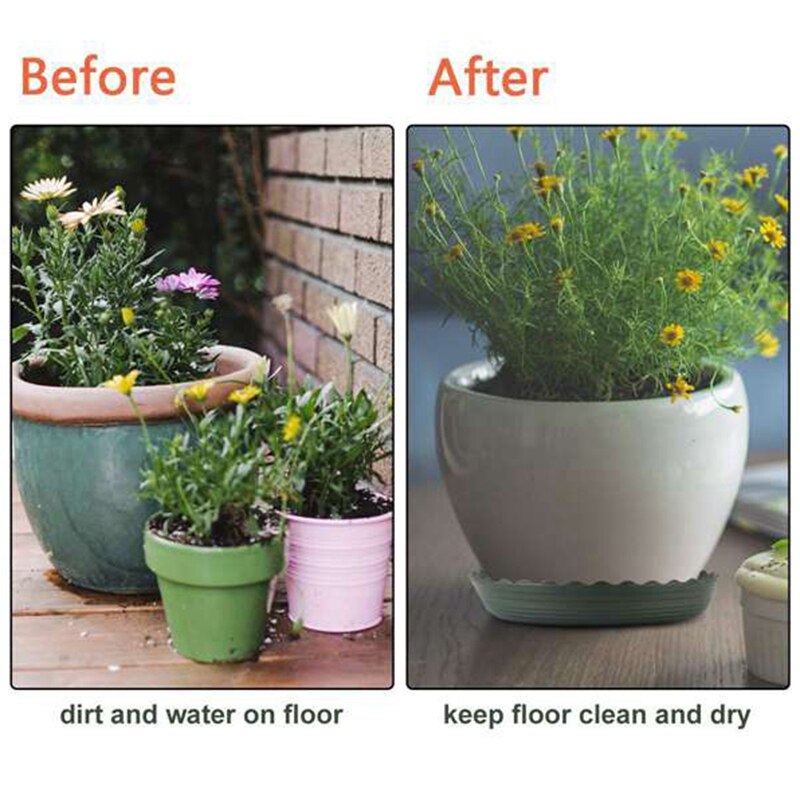 Plant Saucer 12Pc Large - Plastic Plant Drip Tray ... – Grandado