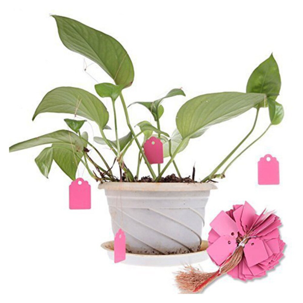 200Pcs Plant Tags Waterdichte Draagbare Nuttig Pla... – Vicedeal