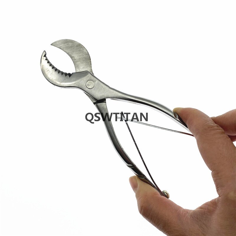 Dental Lab Gypsum Scissors Dental Plaster Scissors... – Grandado