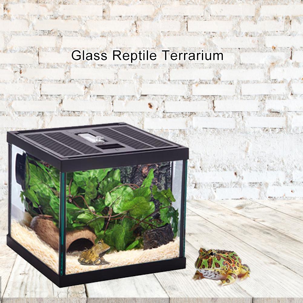 Reptile Glass Terrarium Natural Comfortable Glass ... – Grandado