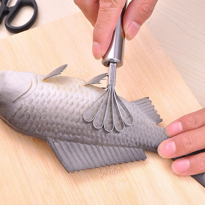 Outils de fruits de cuisine en acier inoxydable, r... – Grandado