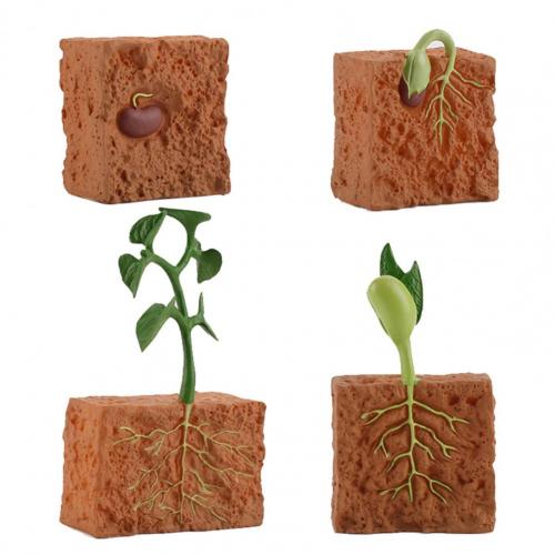 4Pcs Plants Grown Toy Simulation Educational PVC P... – Grandado