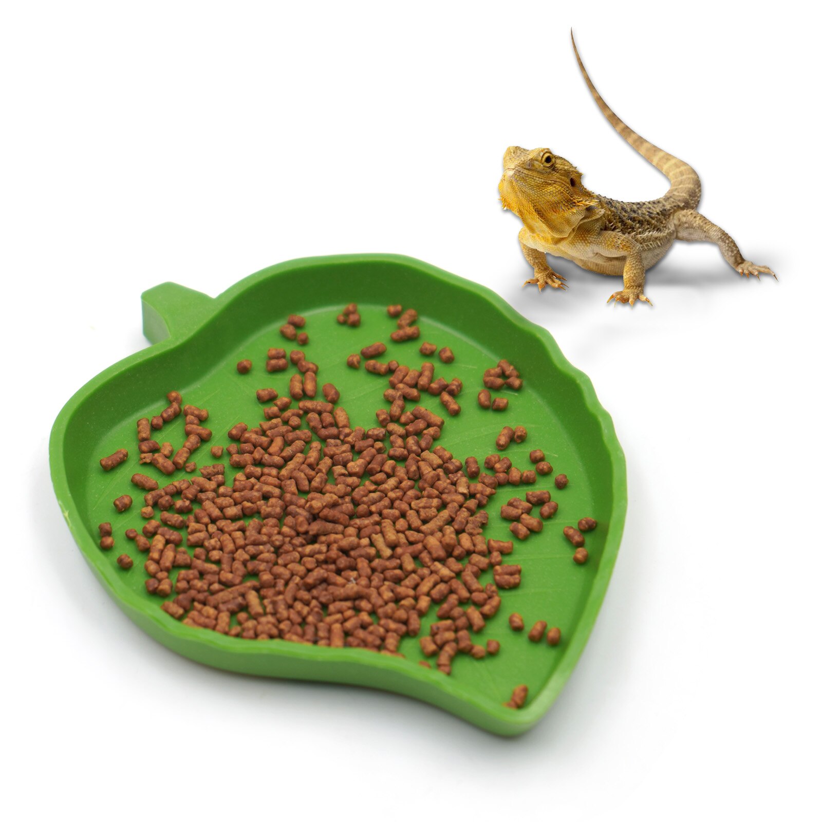 Amfibieën Reptielen Feeder Plastic Reptiel Terrari... – Vicedeal