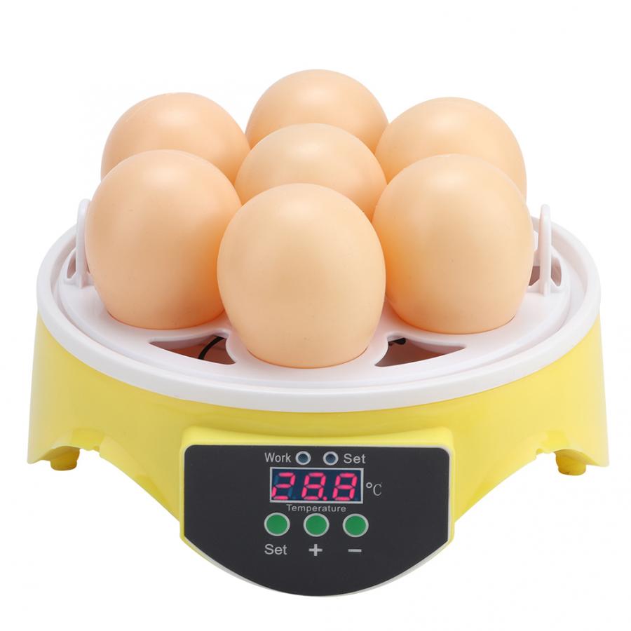 Mini Digital 7 Eggs Incubator Automatic Temperatur... – Grandado