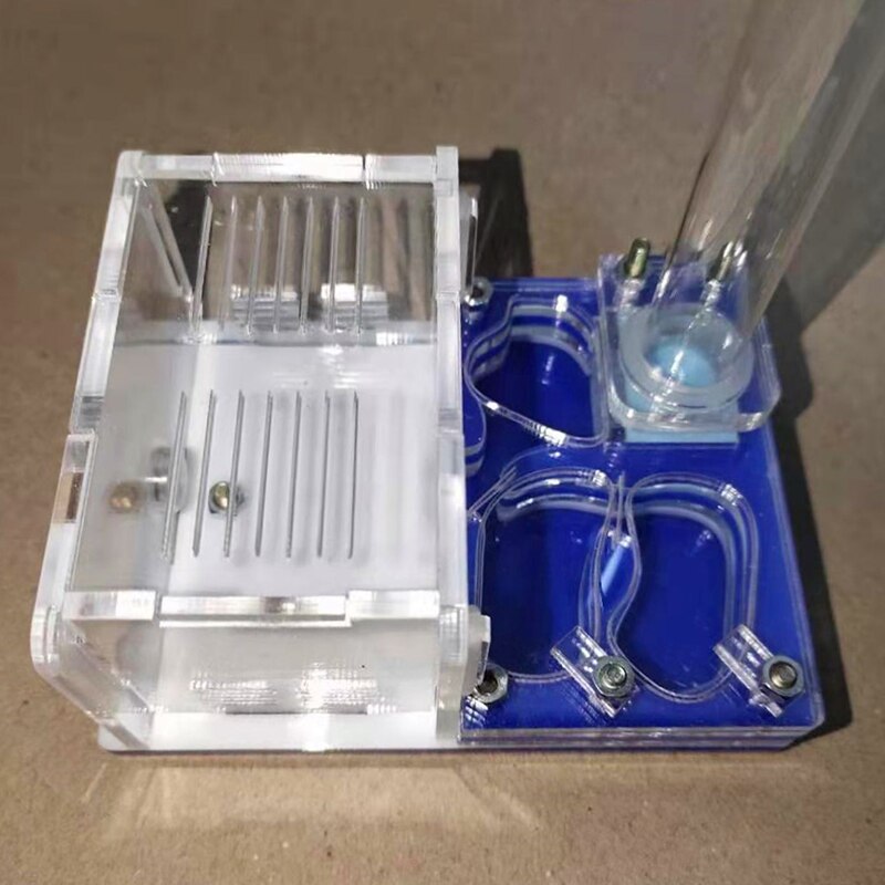 Blue Ant Nest Plane Nest Acrylic Ant Active Area A... – Grandado