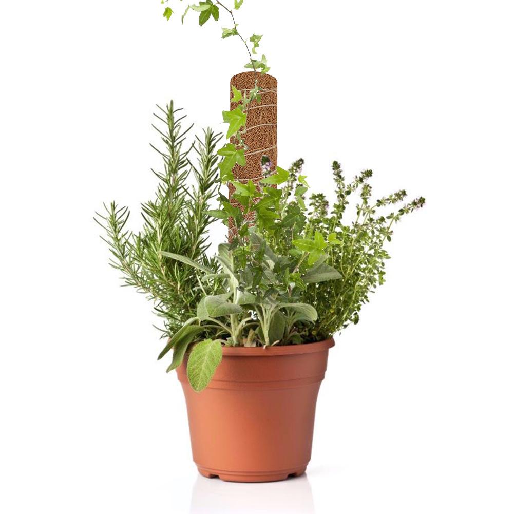 Kokos Totem Pole Plant Ondersteuning Pole Kokosnoo... – Vicedeal