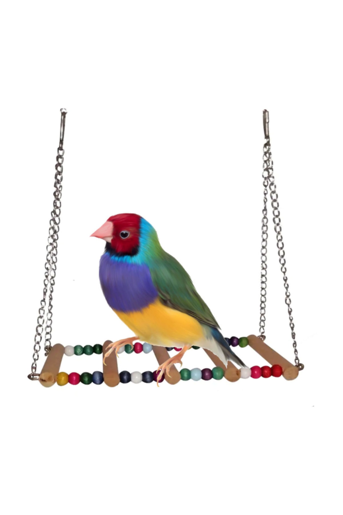 Bridge Swing Bird Toy – Vicedeal