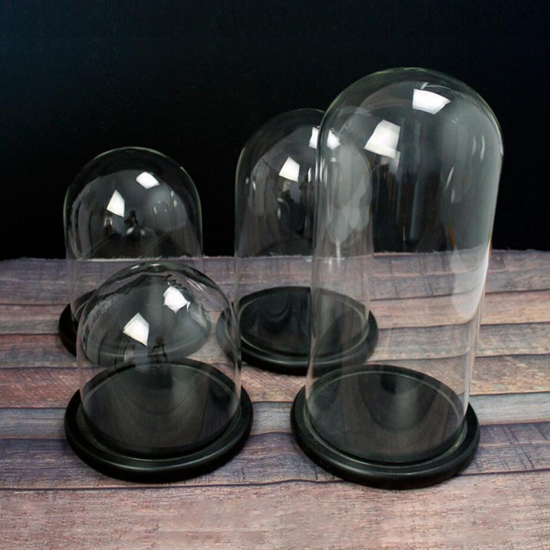 Ornament storage Bell Glass Bell Jar Shade Glass D... – Vicedeal