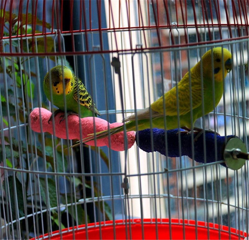 Papegaai Ruwe Hout Huisdier Papegaai Speelgoed Vog... – Grandado
