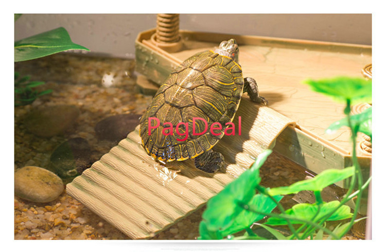 Turtle Pier Pet Ramp Platform Frog Newts Basking T... – Grandado