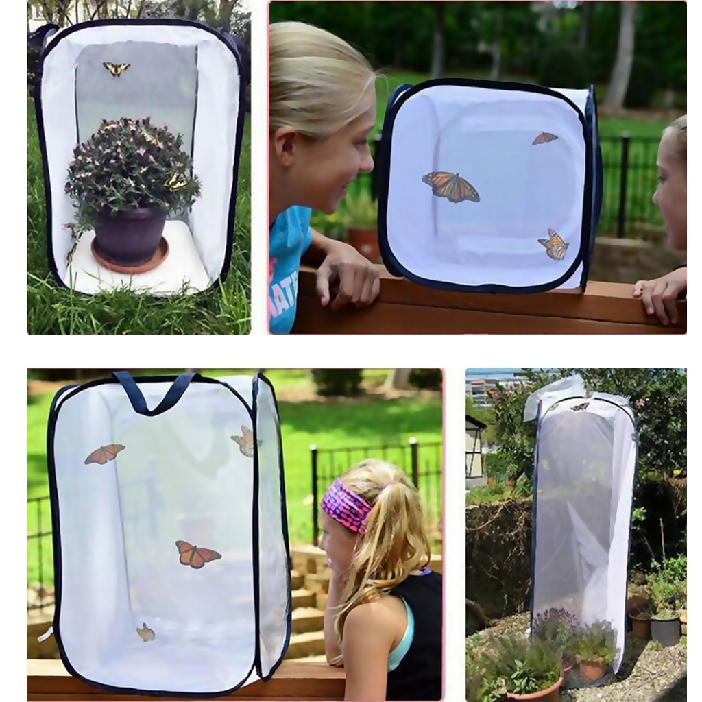 Opvouwbare Mesh Nest Insect Kooi Farm Feed Behuizi... – Grandado