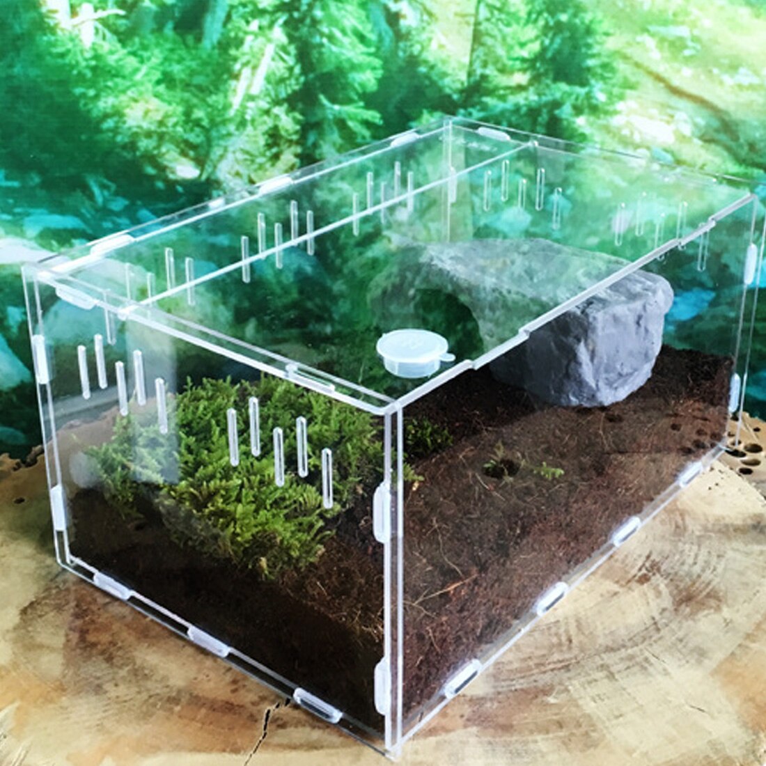PETFORU Acrylic Reptile Feeding Box Crawler Pets F... – Grandado