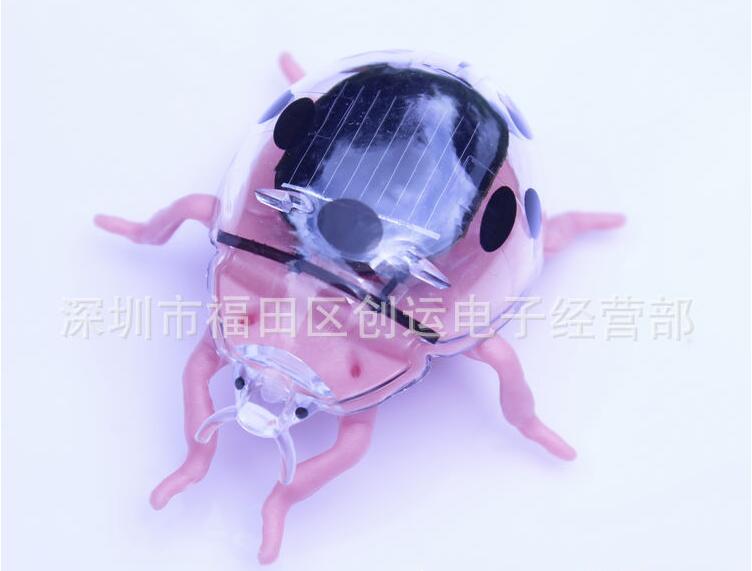 Solar Ladybug Cute Ladybug Science Educational Toy... – Grandado