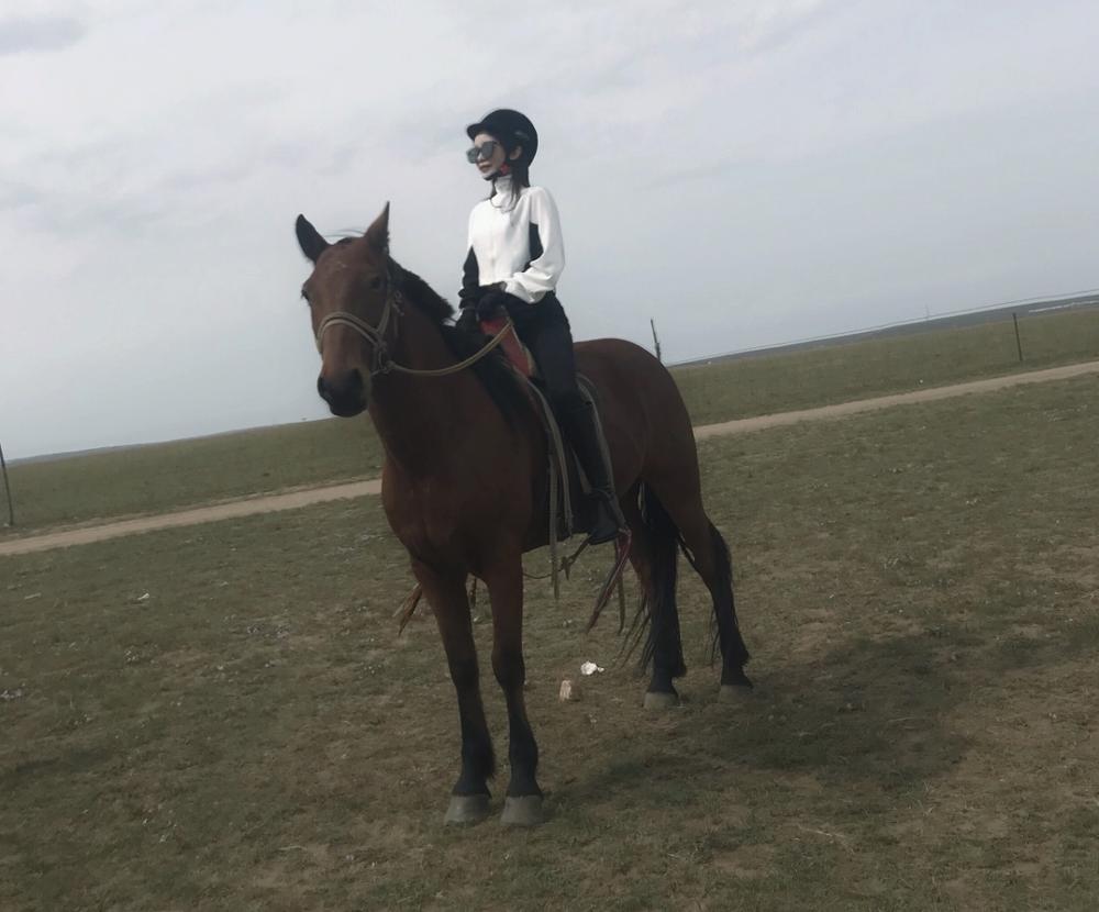 Pferdesport liefert reiten helme reiten helme männ... – Grandado