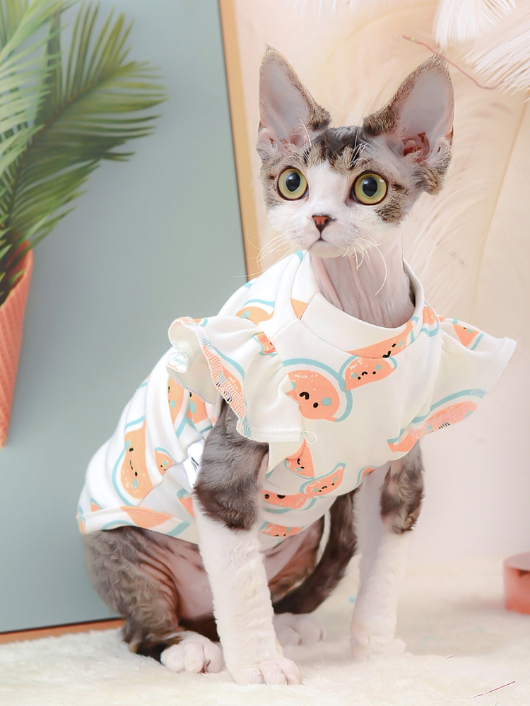 Kat Kleding Lente Herfst Leuke Katoenen Katten Hoo... – Vicedeal