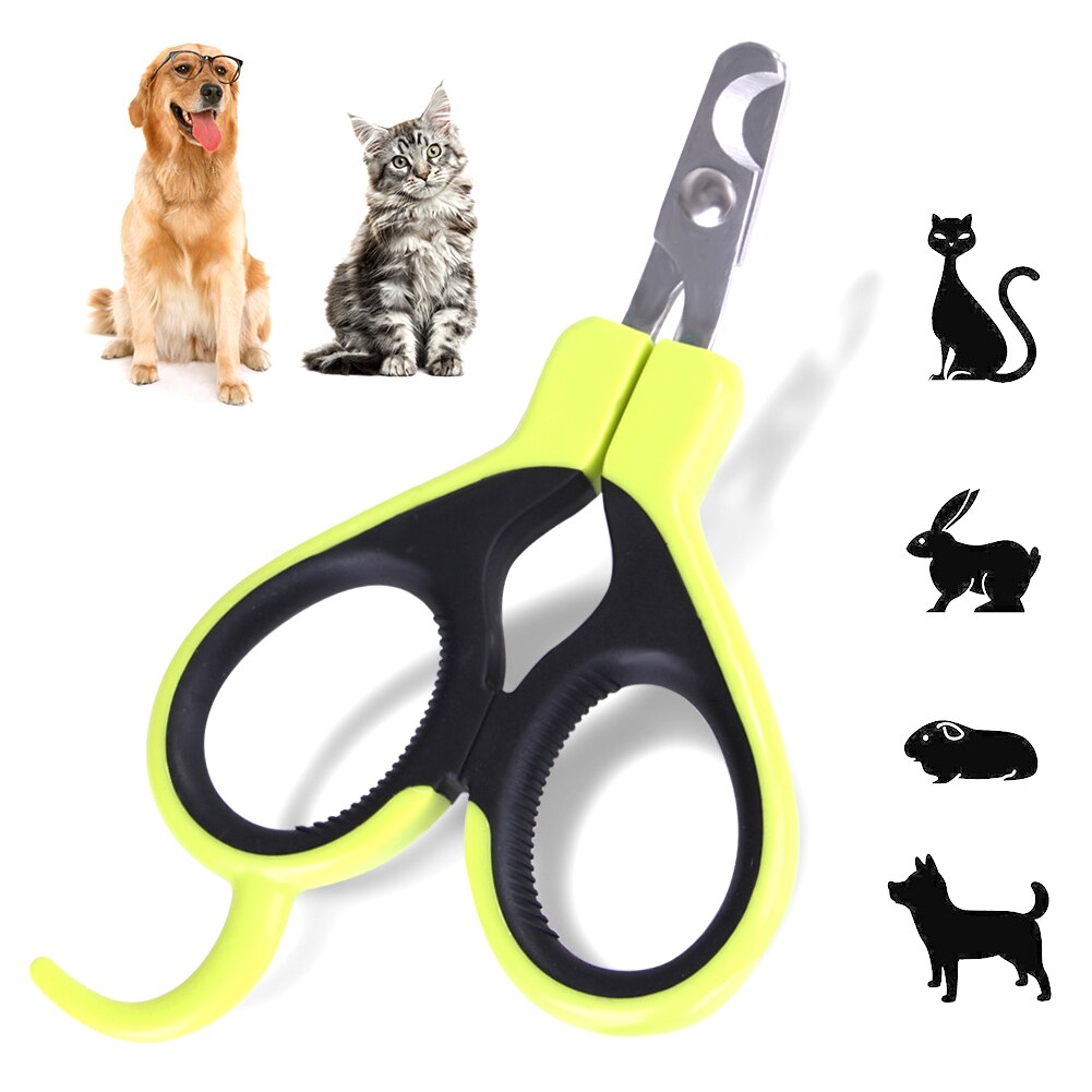 Bird Sharp Blade Kitten Rabbit Puppy Trimming Home... – Grandado